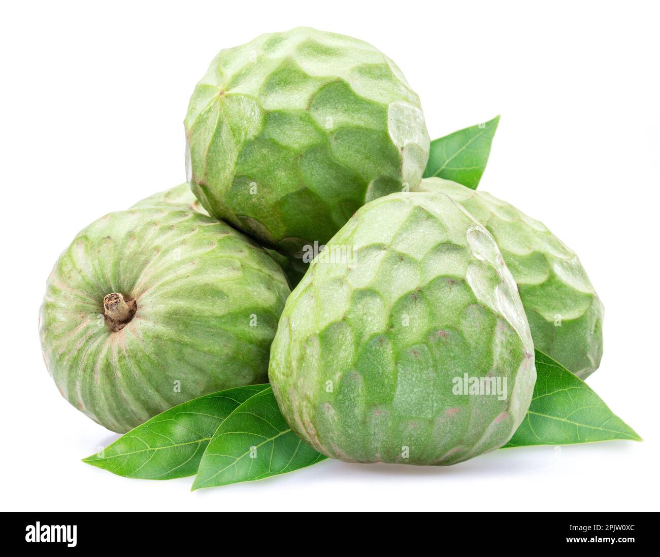 Custard apples isolated on white background Stock Photo - Alamy