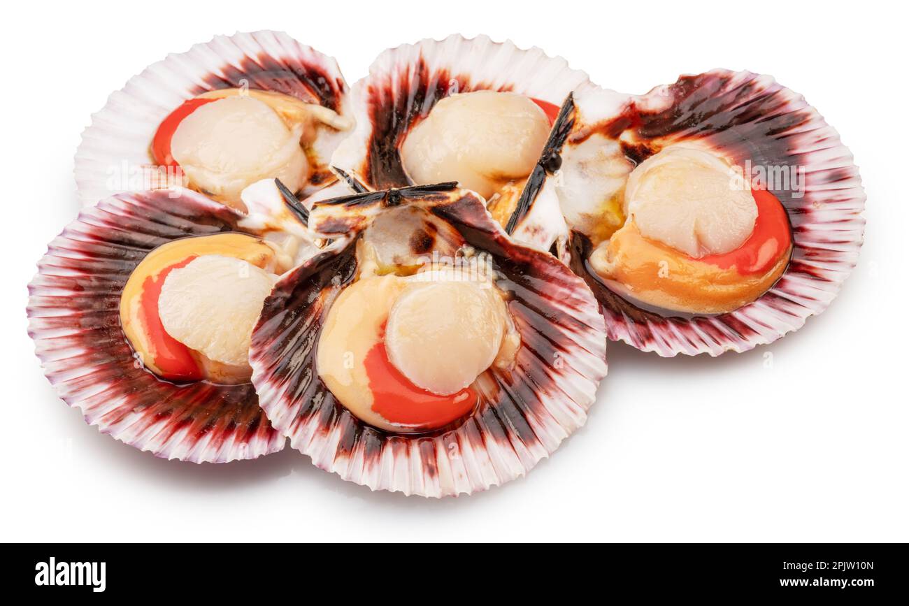 Group of fresh opened scallop with scallop roe or coral close up. File ...