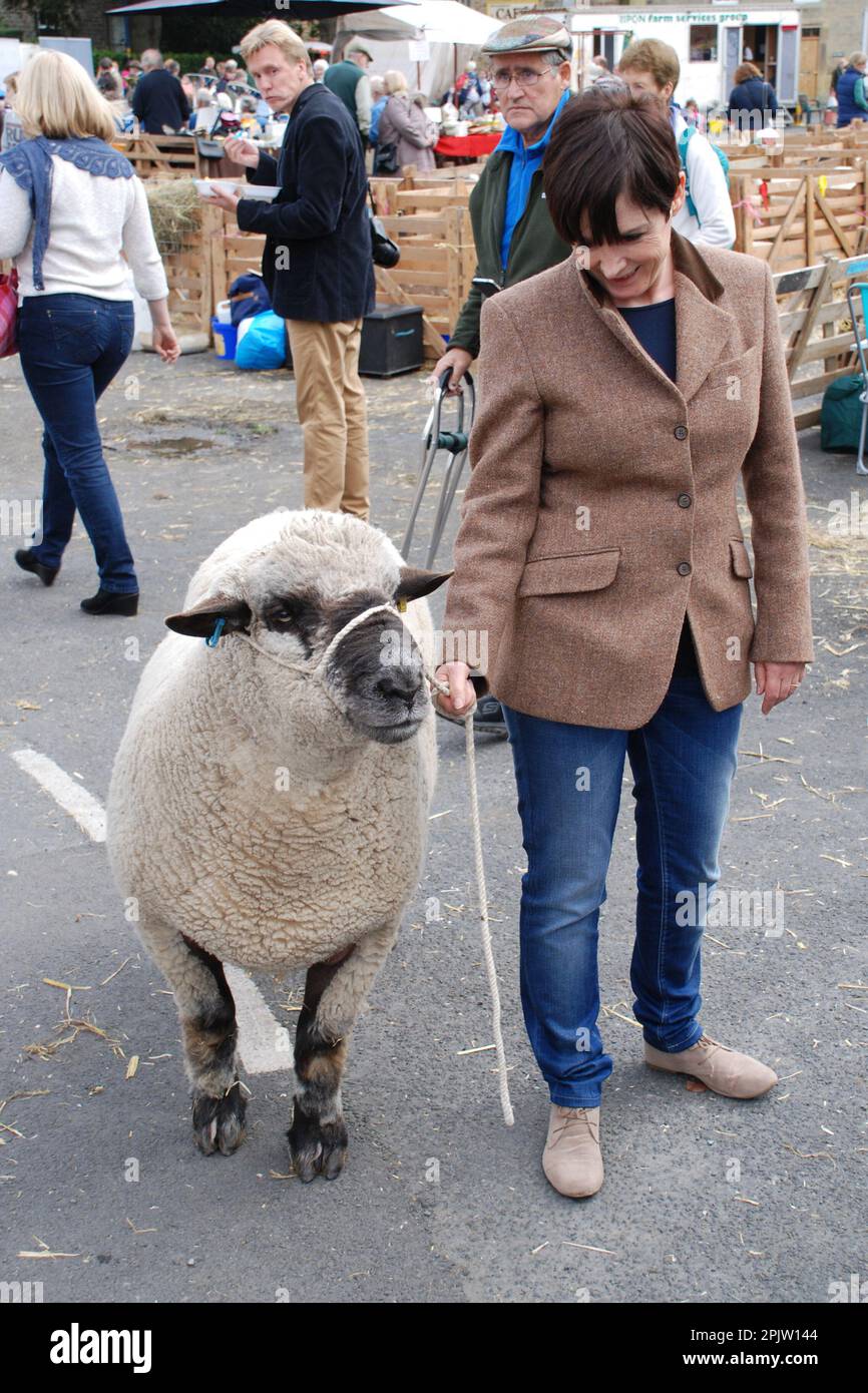 A shining example of showing a sheep....Masham Sheep fair around 2015 ...