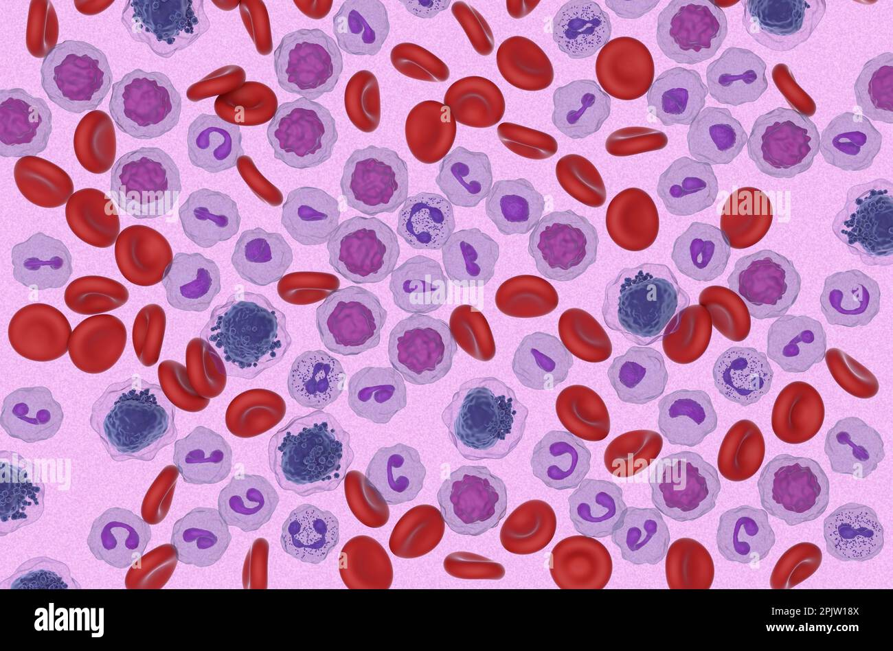 Acute myeloid leukemia (AML) cells in blood flow - microscopic view 3d ...