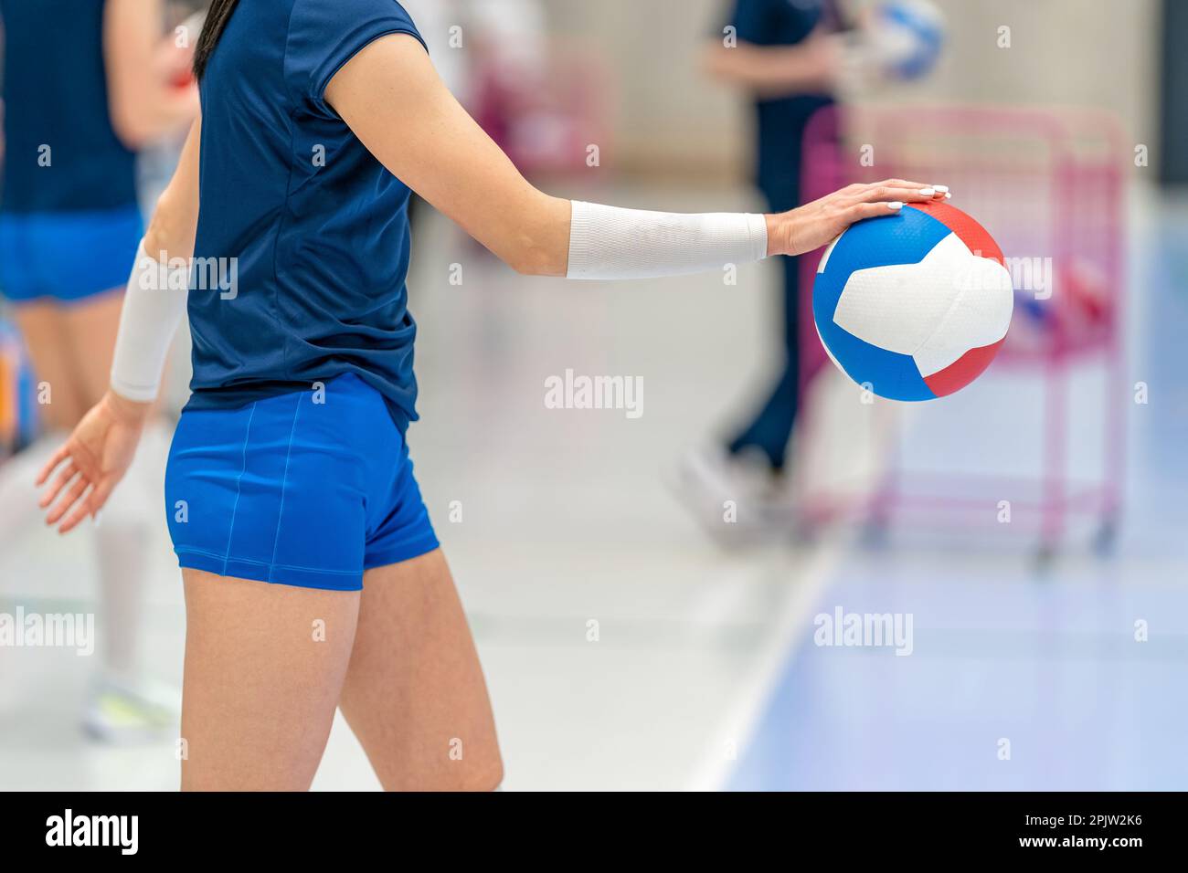 female volleyball player with the ball on the volleyball court Stock ...