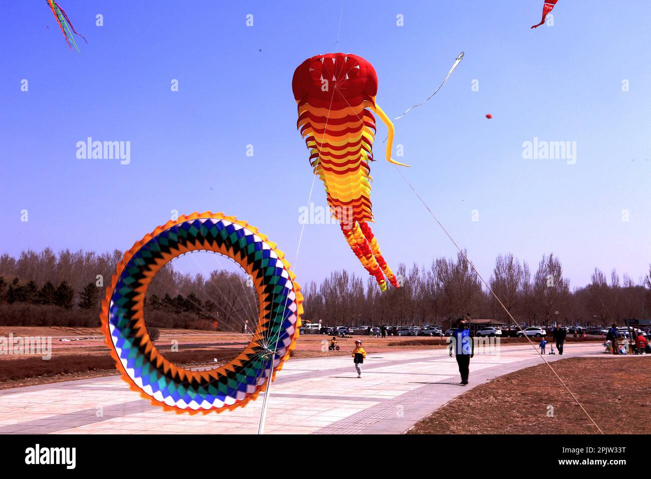 The kite festival kicks off at Shenyang Botanical Garden, Shenyang City ...
