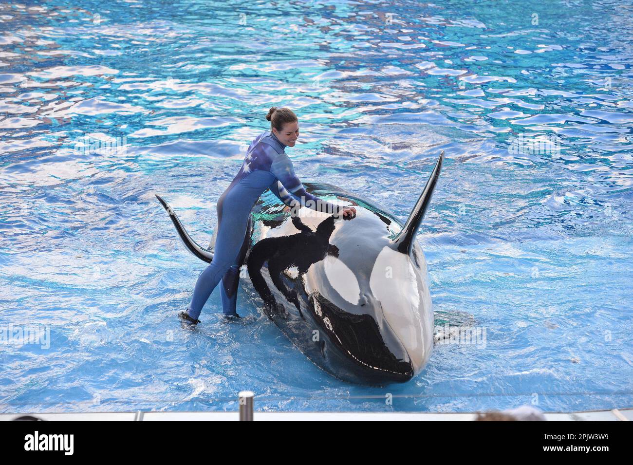 After 50 years at miami seaquarium hi-res stock photography and images ...