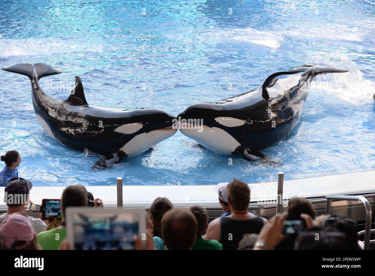 After 50 years at miami seaquarium hi-res stock photography and images ...