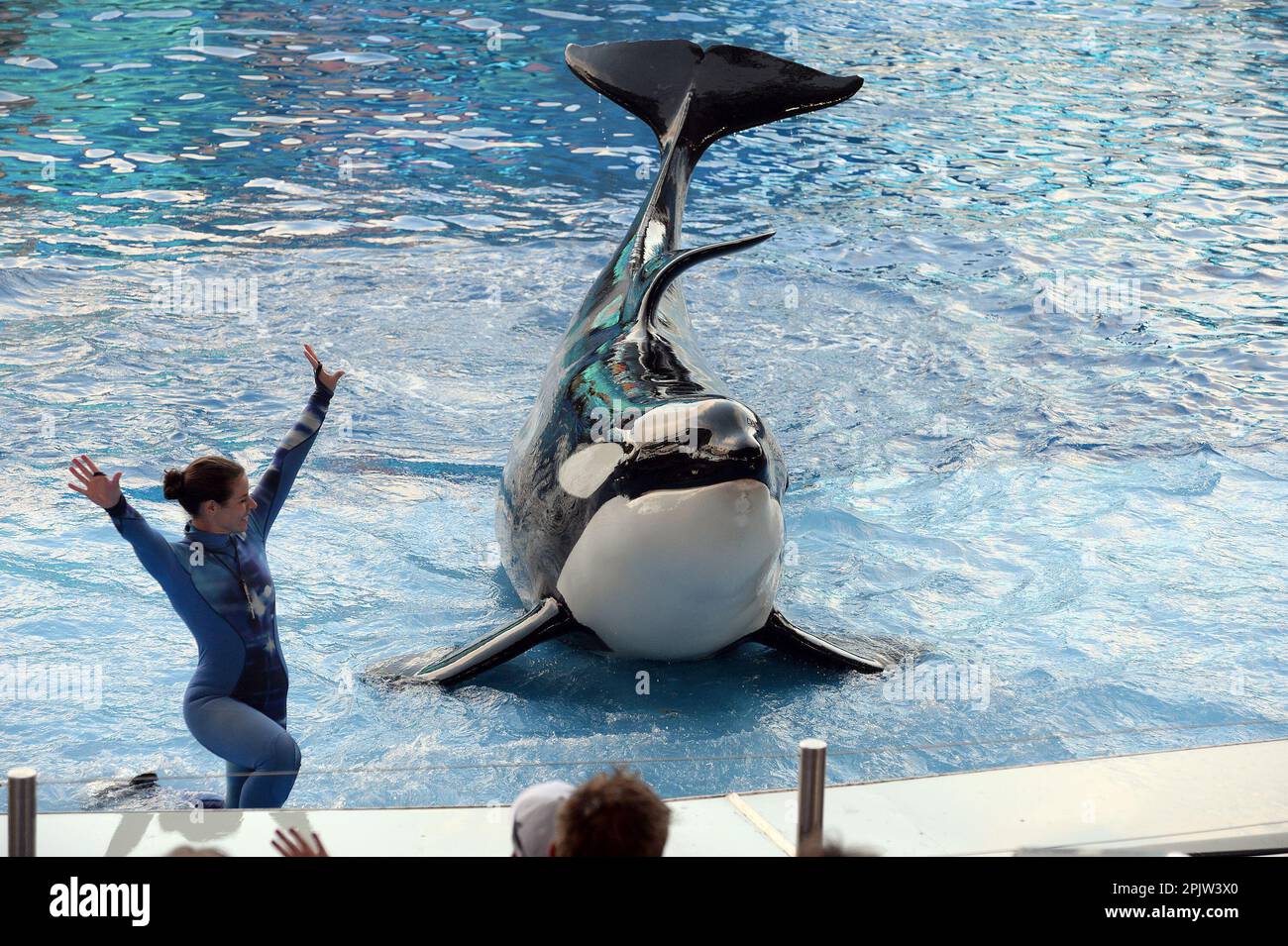 After 50 years at miami seaquarium hi-res stock photography and images ...