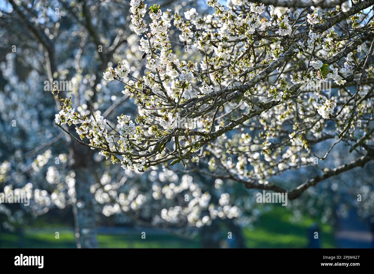 Hove parks hi-res stock photography and images - Alamy