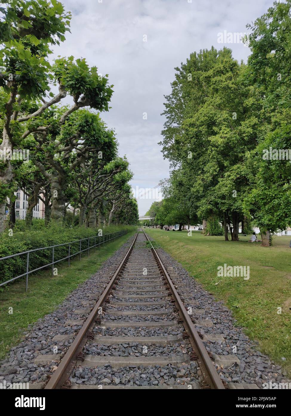 A green landscape featuring a train track weaving its way through the ...