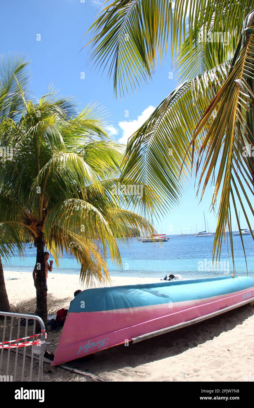 Artinique hi-res stock photography and images - Alamy