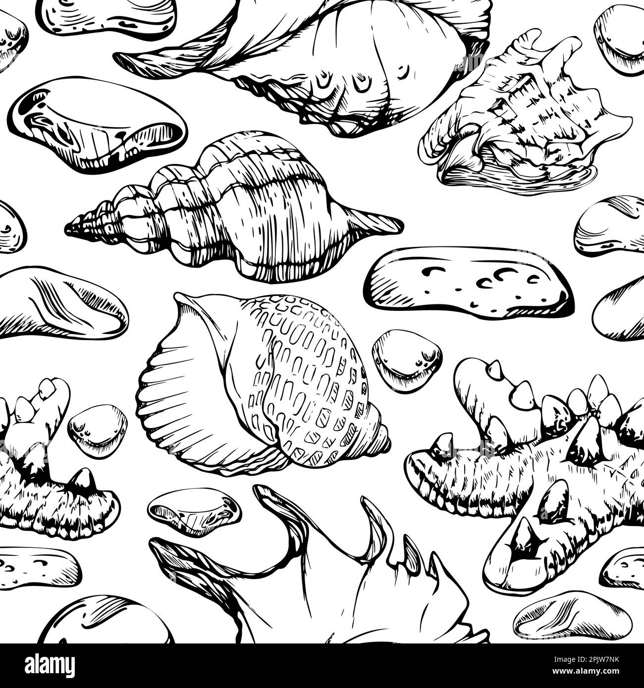 Hand drawn vector ink beach assorted colorful sea glass, shells and ...