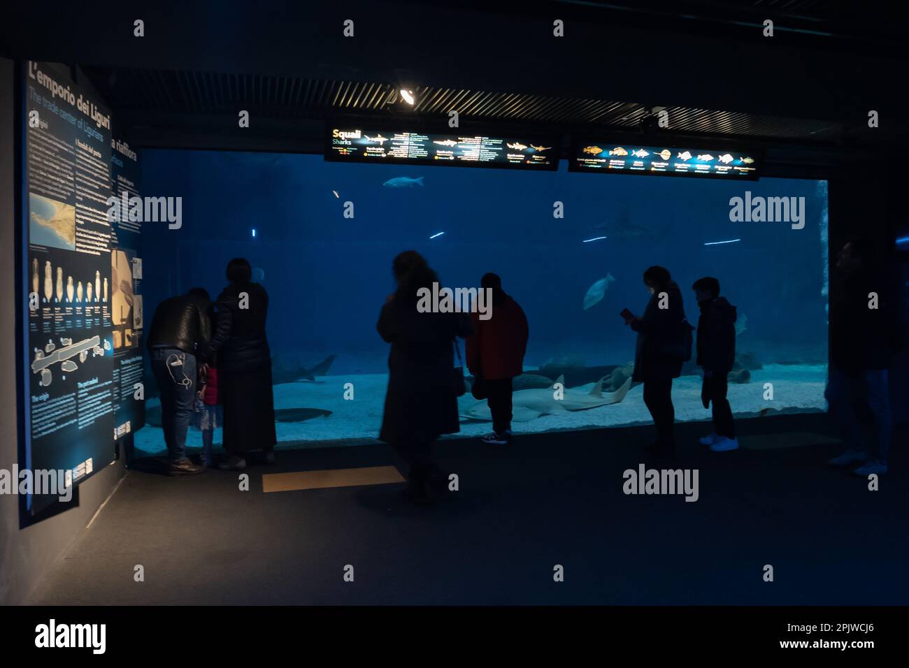 Aquario di genova hi-res stock photography and images - Alamy