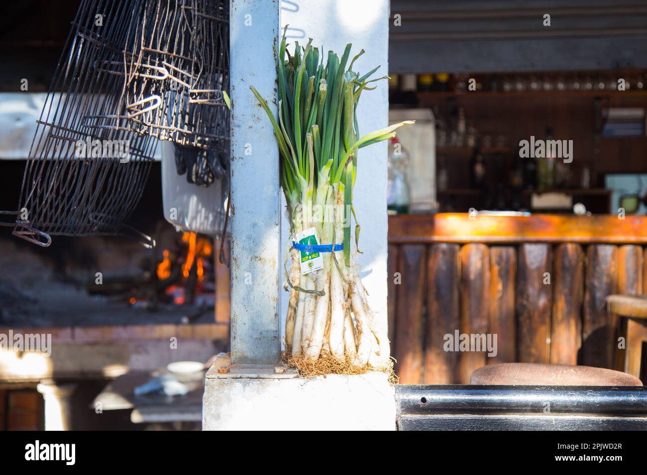 Calçots with romesco sauce. Calçots are a variety of tender onion that ...