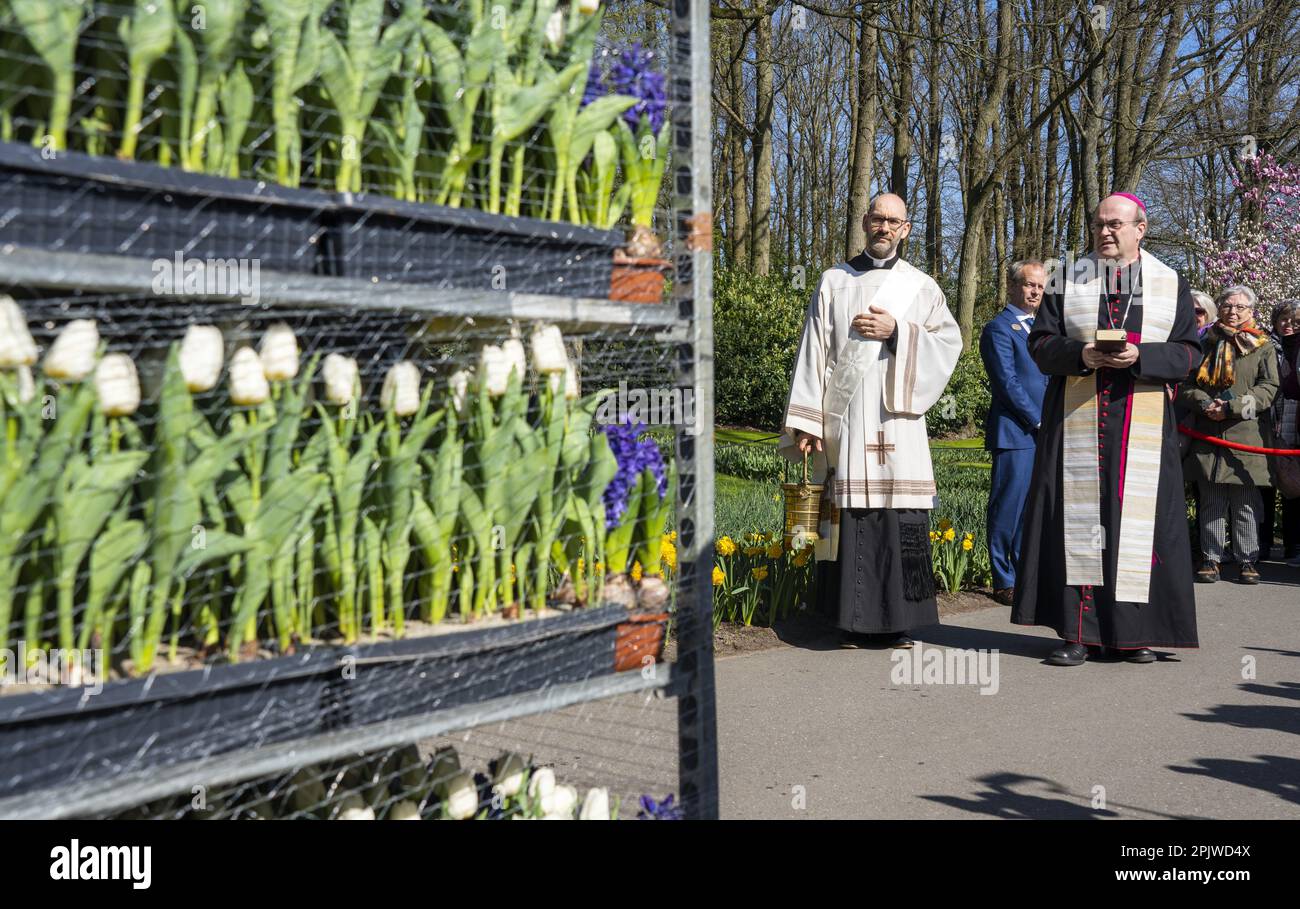 LISSE - Bishop of Rotterdam Hans van den Hende blesses flowers for ...