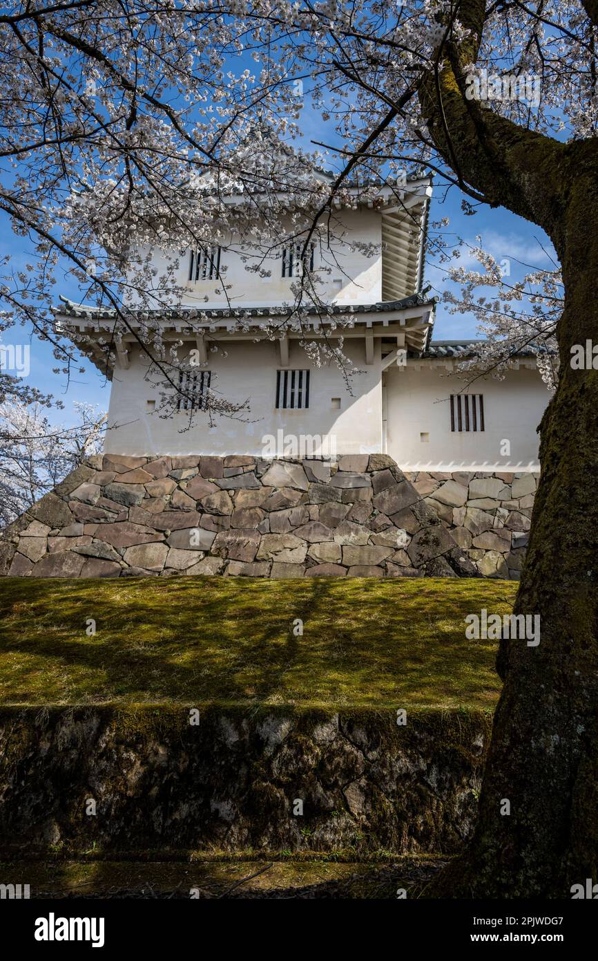 The beautiful spring scenery around Nagaoka Castle, Niigata, Japan ...