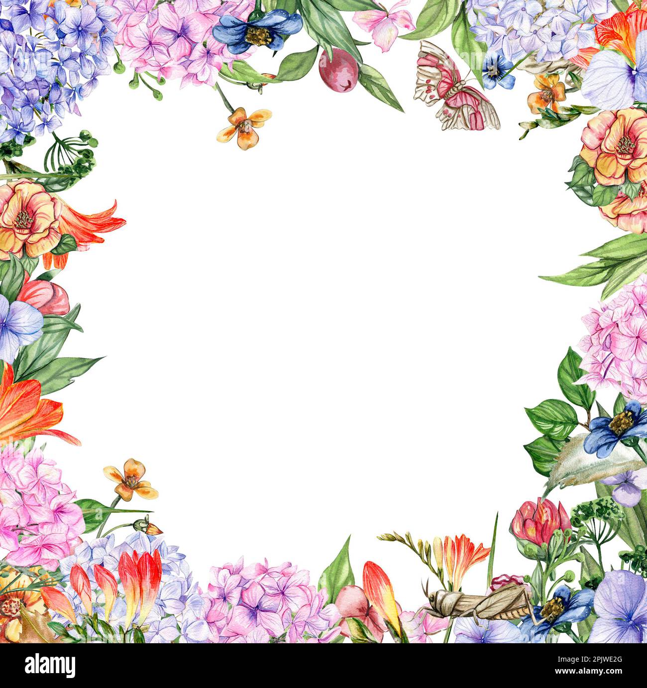 Watercolor hand drawn spring garden full of flowers square frame ...