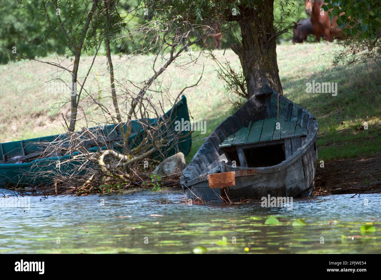 Wild, human and aquatic nature in the Danube Delta ecosystem: two old ...