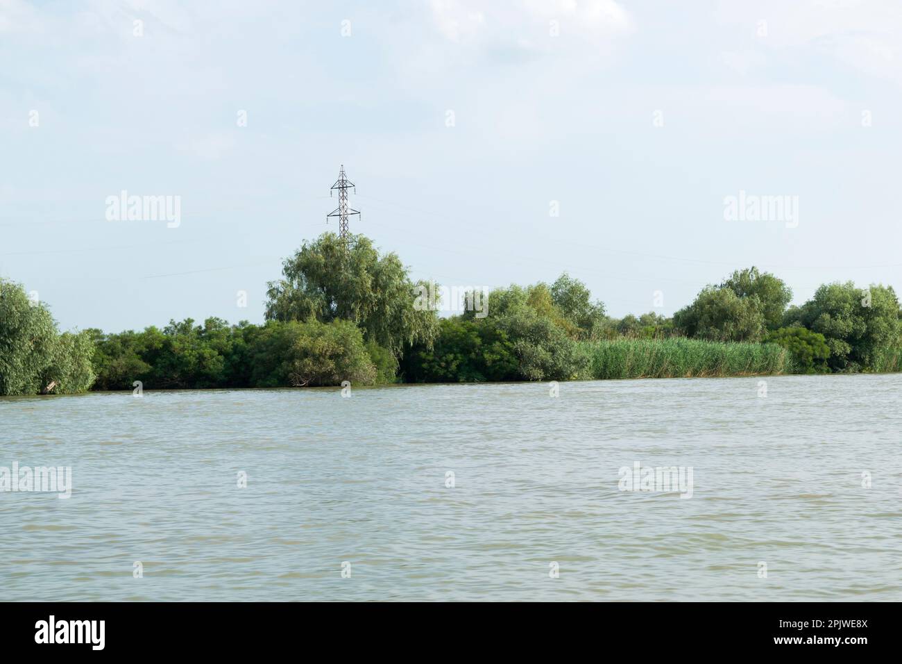 Wild and aquatic nature in the Danube Delta ecosystem: The Danube Delta ...