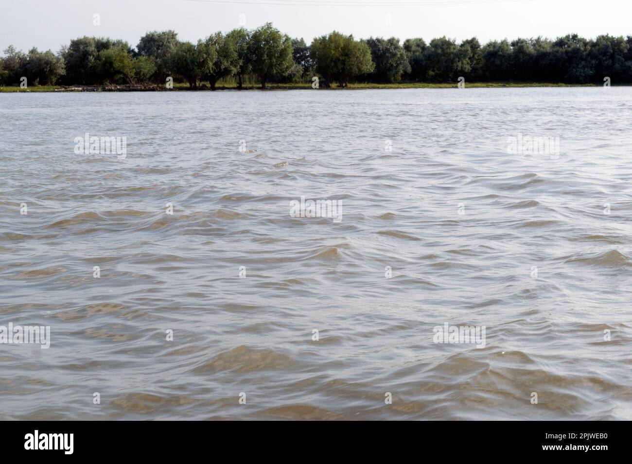 Wild and aquatic nature in the Danube Delta ecosystem: The Danube Delta ...