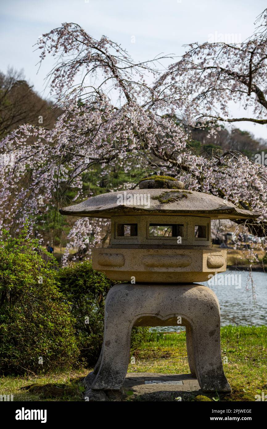 The beautiful spring scenery around Nagaoka Castle, Niigata, Japan ...