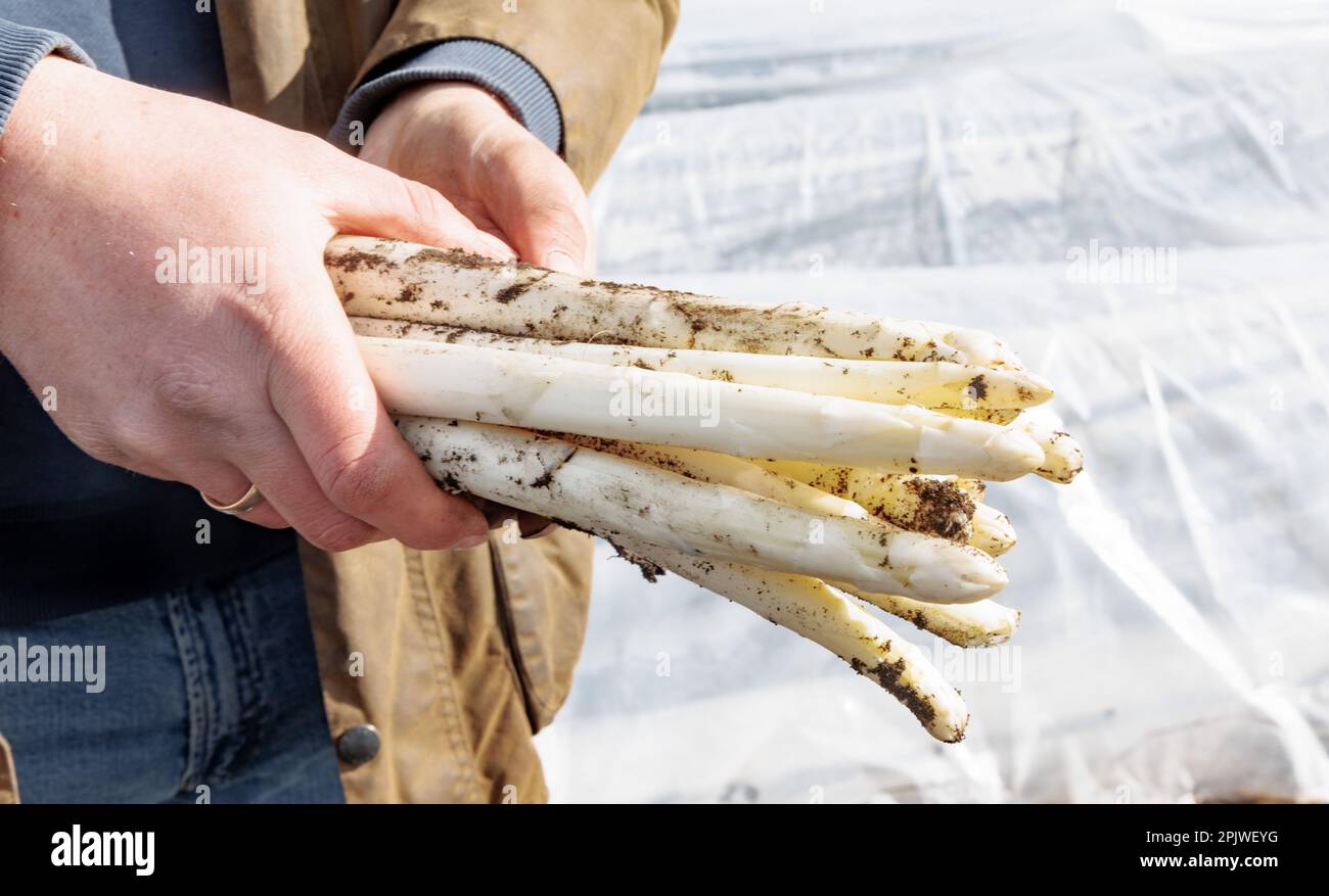 Padenstedt hi-res stock photography and images - Alamy