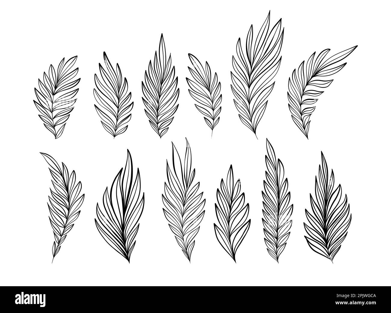 Black Flowing Leaves Vector Outline Collection Isolated on White ...