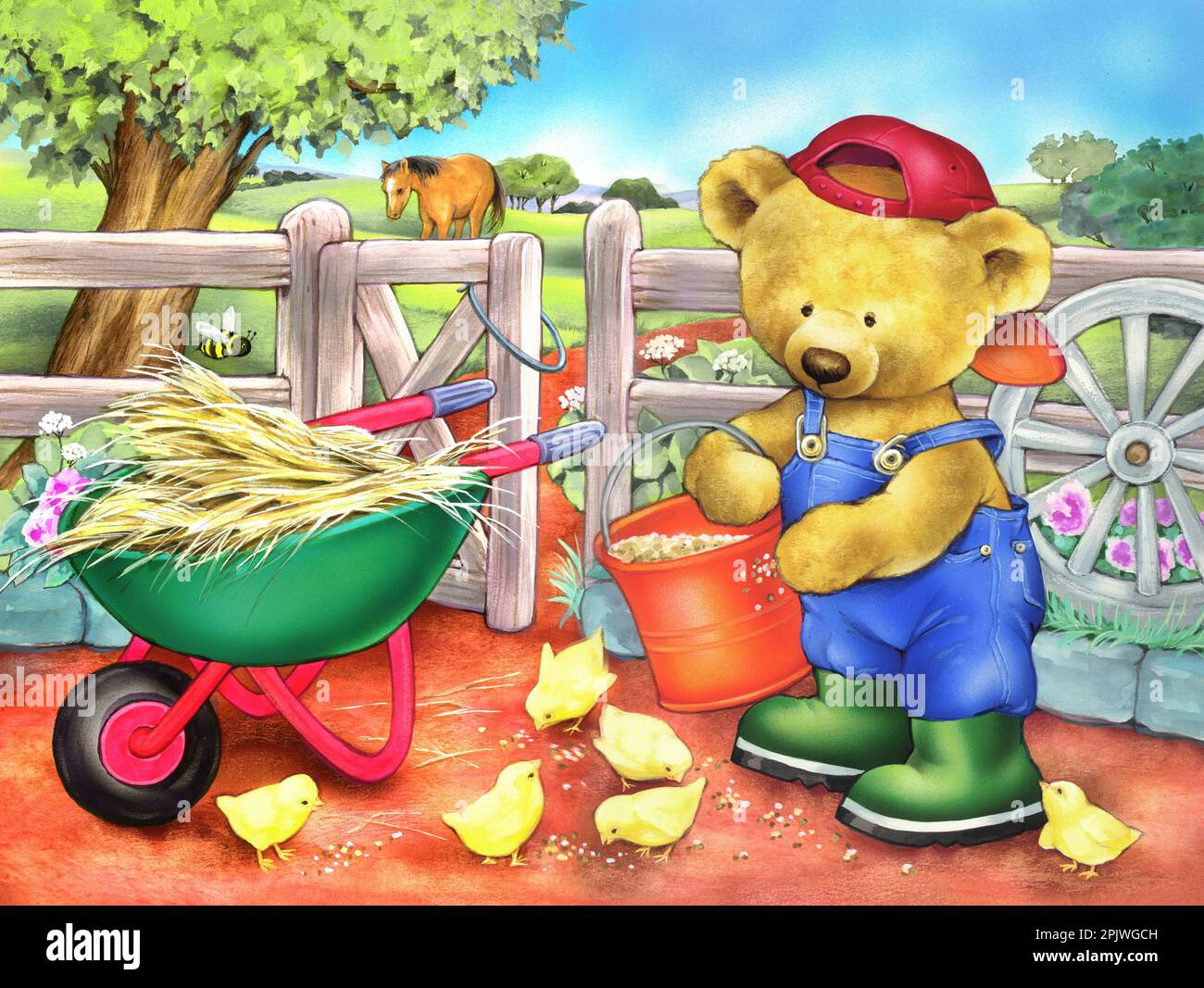 Juvenile-Teddy at farm with wheelbarrow & bucket feeding chicks Stock ...