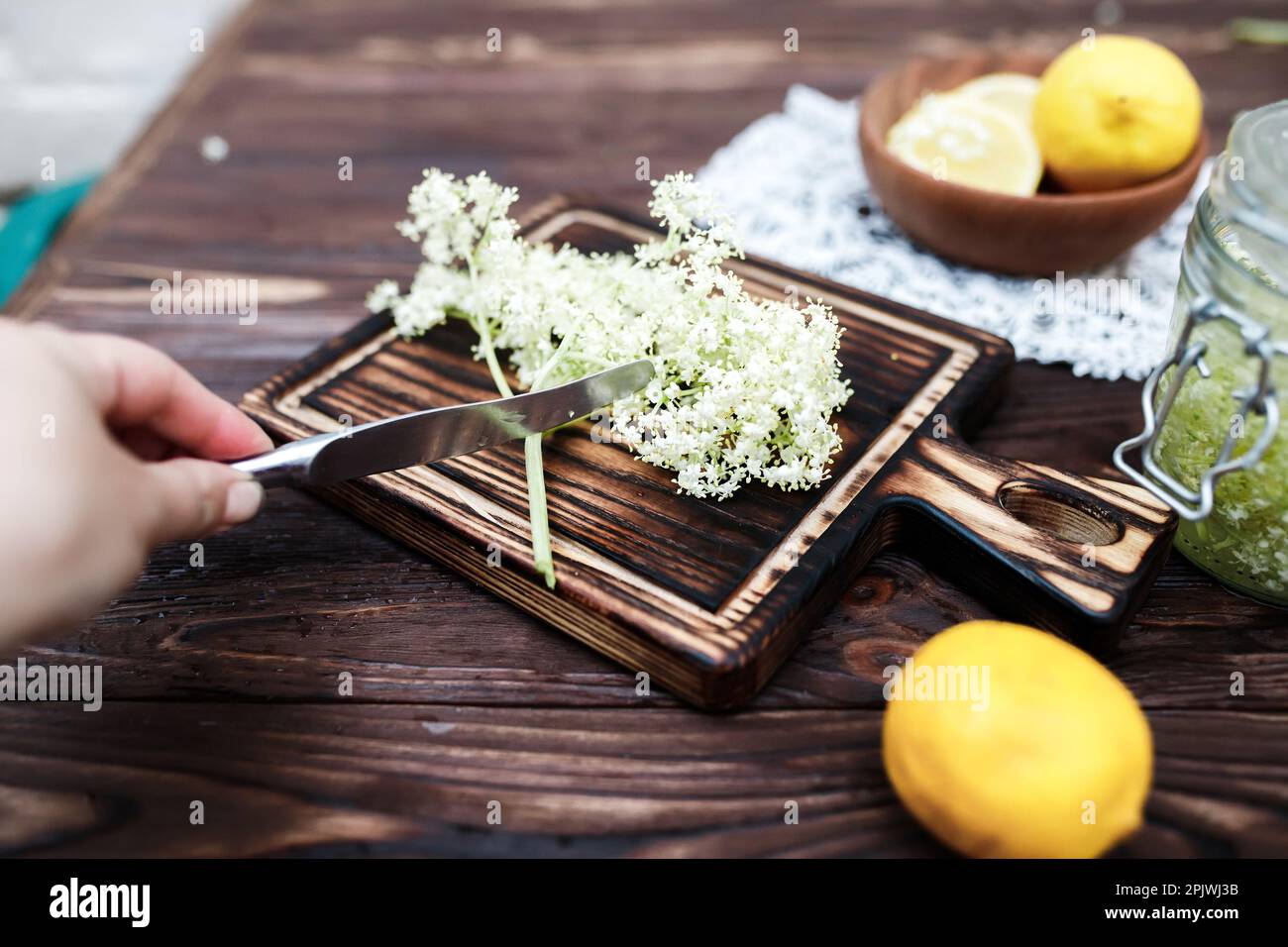 Cutting elderberry inflorescences to prepare phytomedicine preparations ...