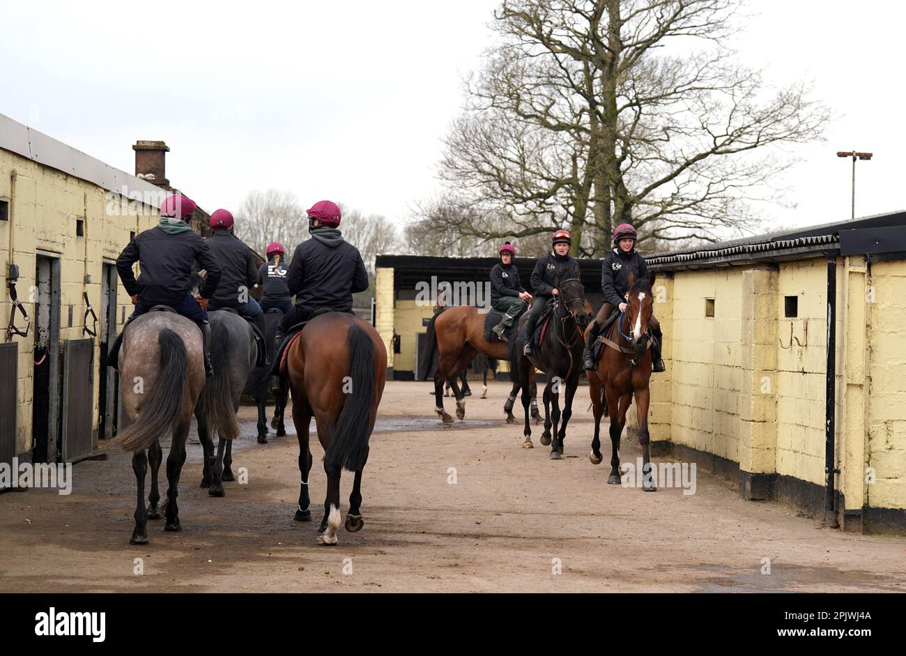 Horses trained by Lucinda Russell (not pictured) during a stable visit ...