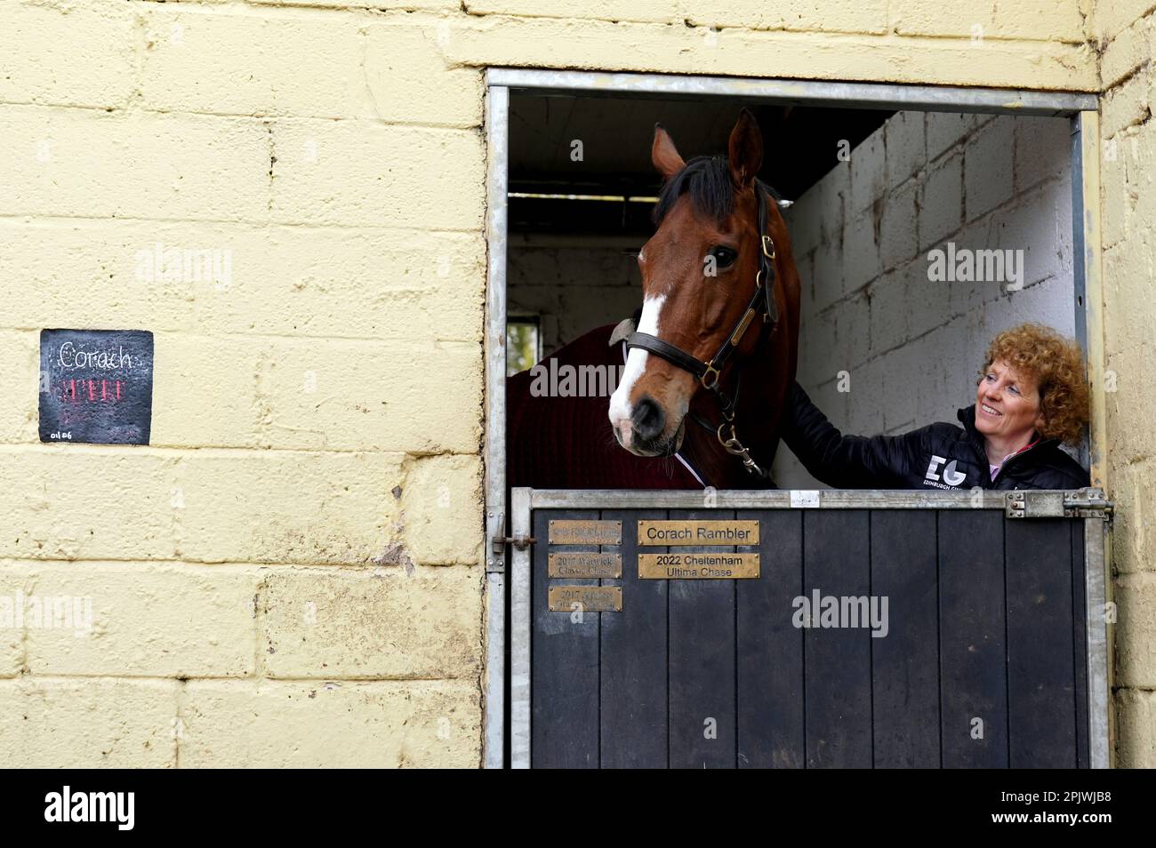Corach rambler horse hi-res stock photography and images - Alamy