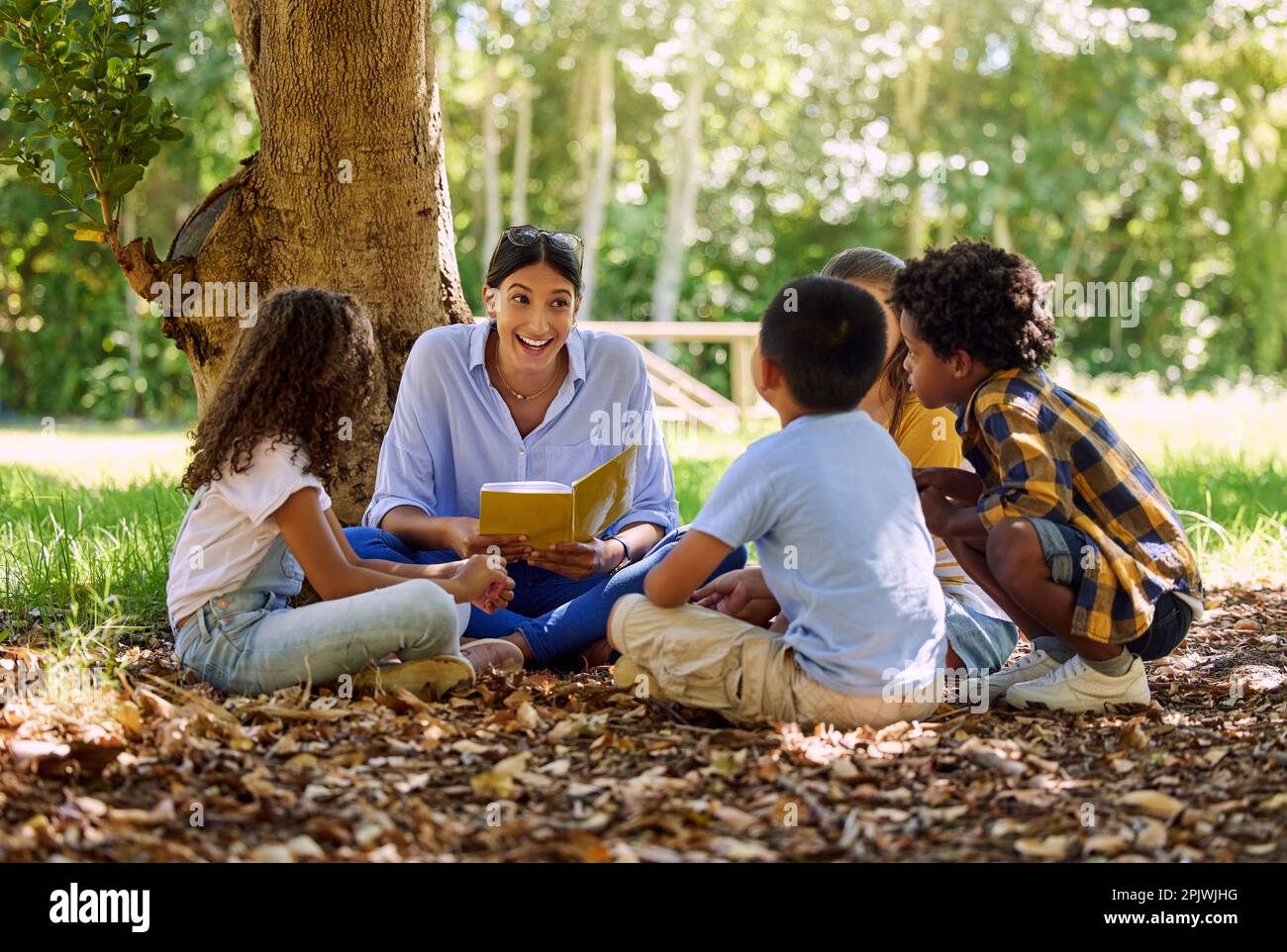 Teacher reading, tree or children with book for learning development ...