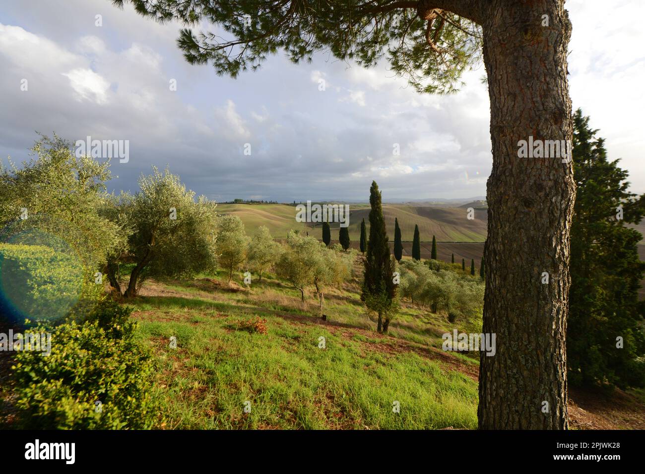 Crete senesi is the name of a vast area in southern Tuscany, stretching ...