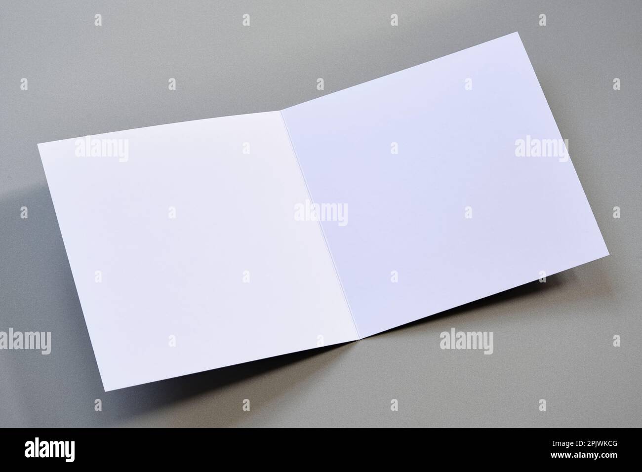 Laying blank empty square open greeting card mock up on clean cool grey ...