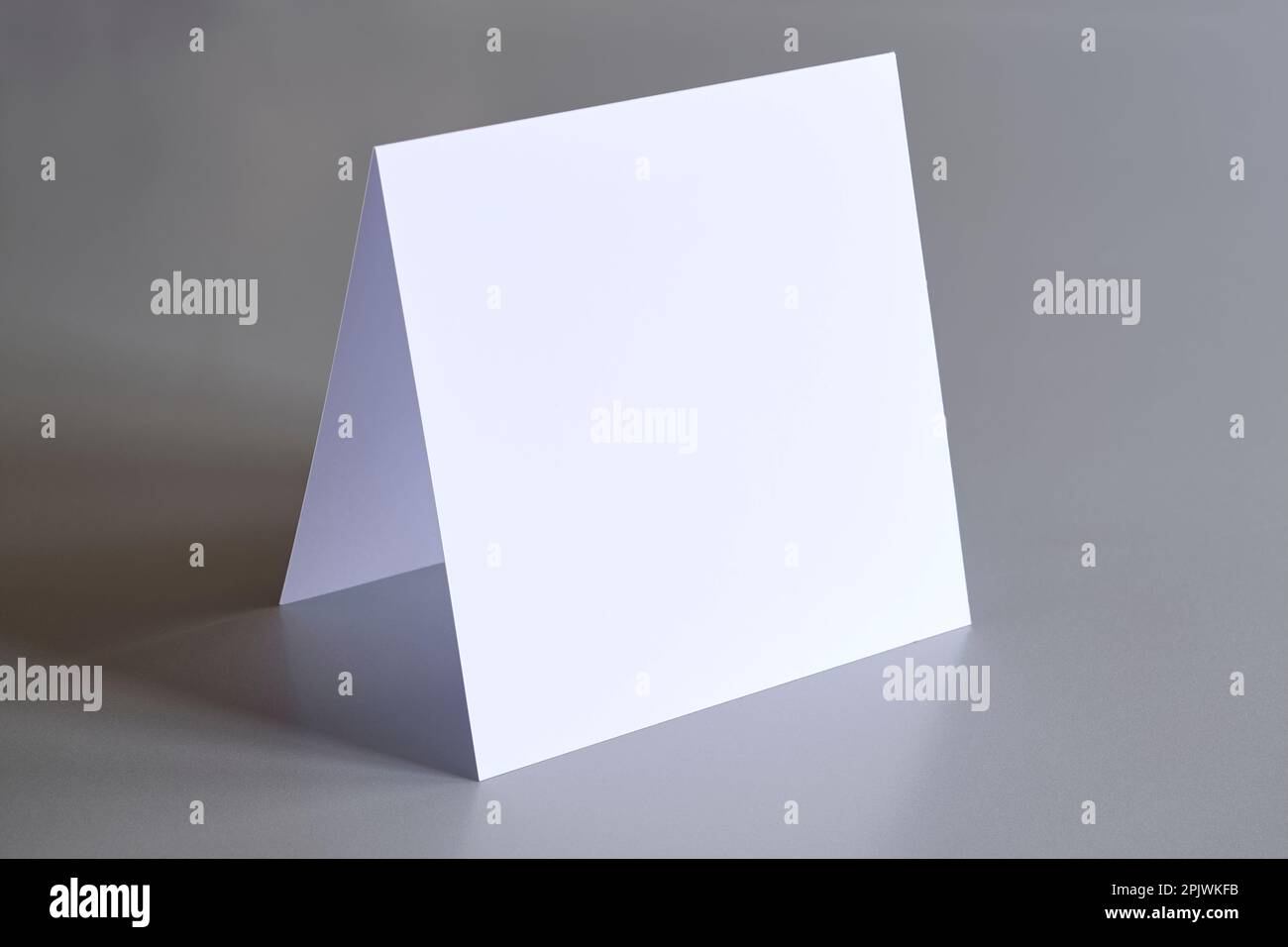 Standing blank empty square greeting card mock up on clean cool grey ...