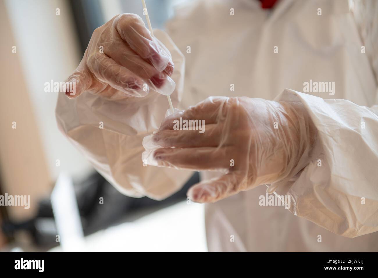 An anonymous laboratory worker manipulates a covid nasal test with ...