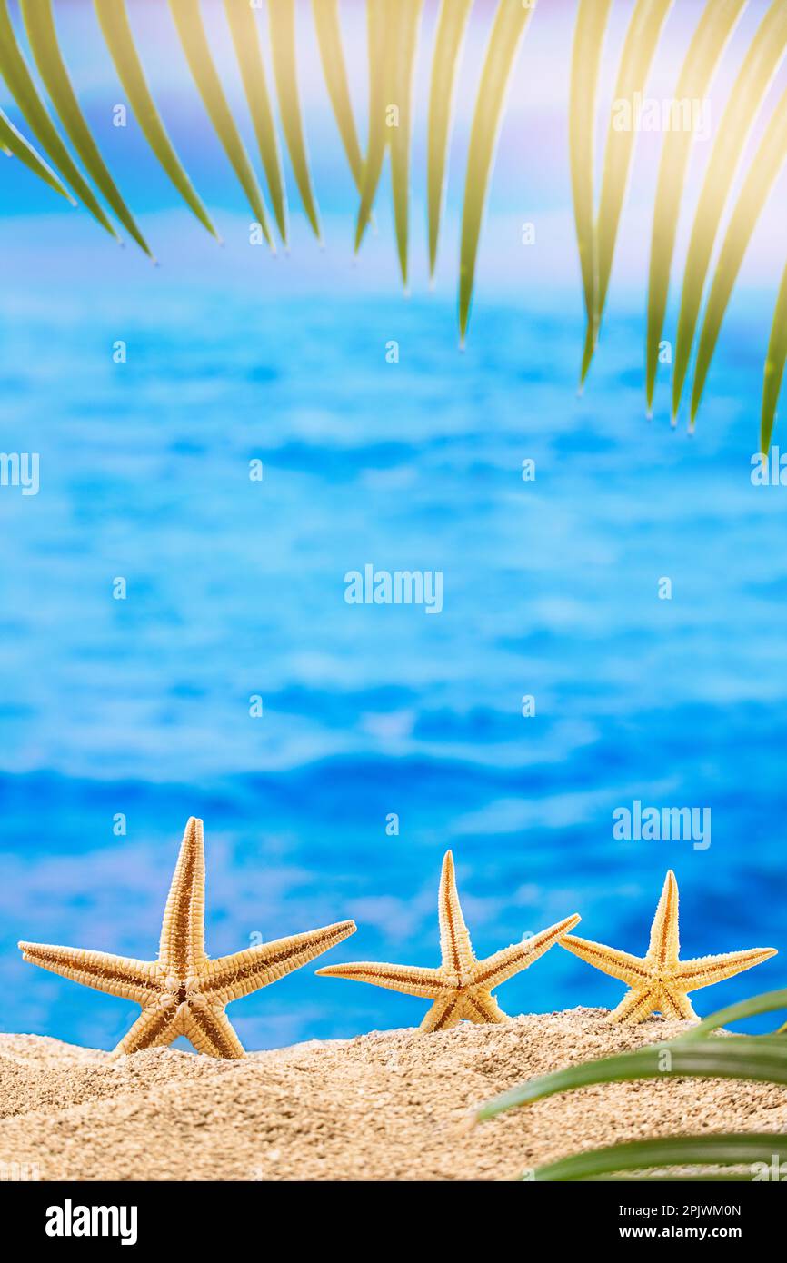 Orange starfish on sandy beach with palm tree behind sea background ...