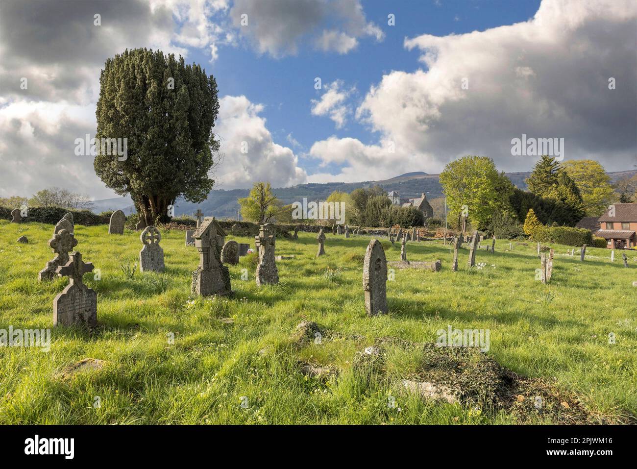 Churchyard with tree, Govilon, Wales, UK Stock Photo - Alamy