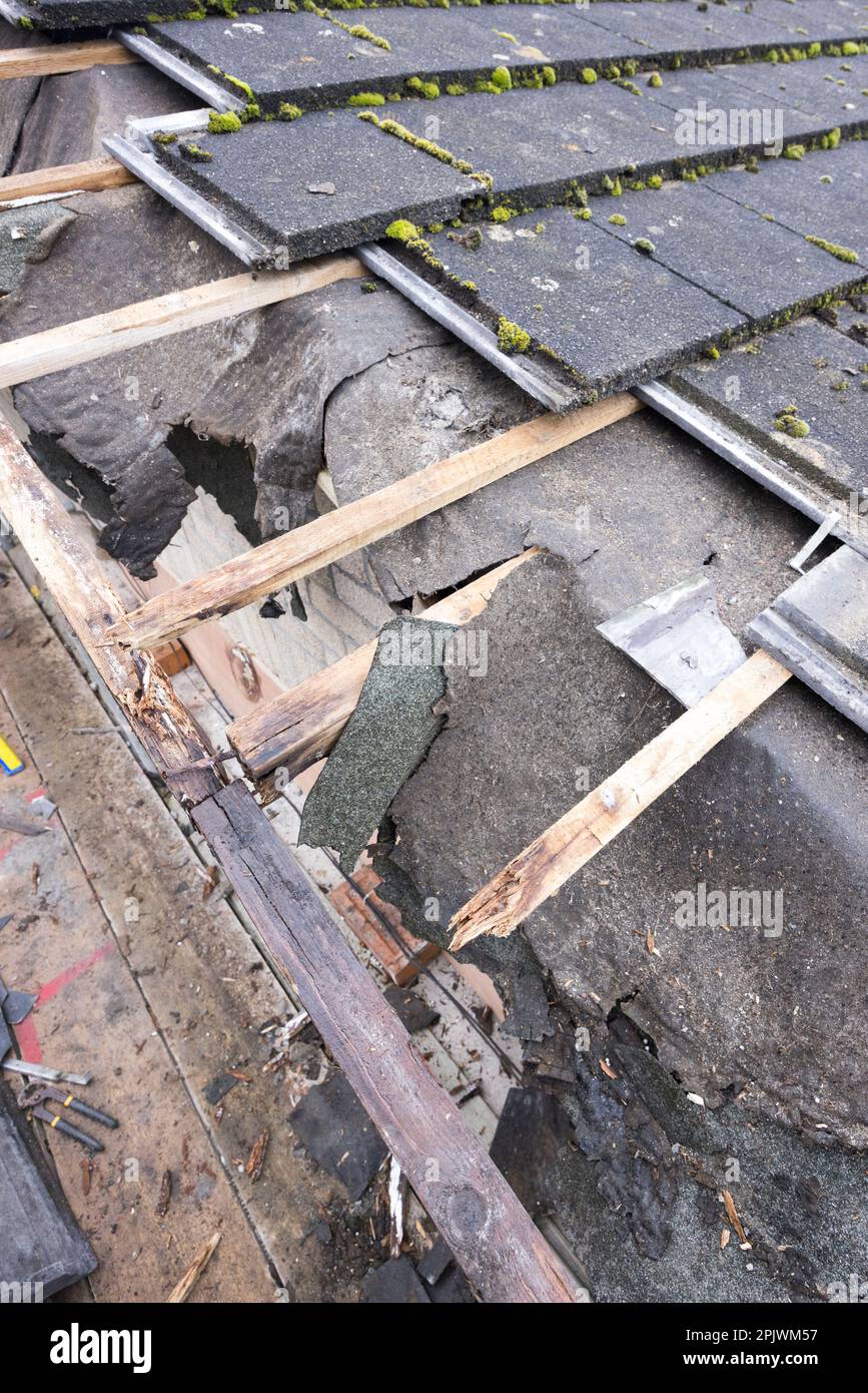Edge of roof requiring repair with rotted woodwork and felt, Wales, UK ...