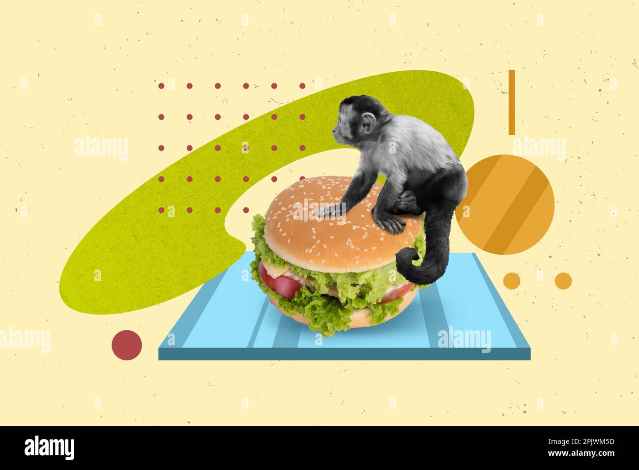 Composite collage picture of black white monkey chimpanzee sit big ...