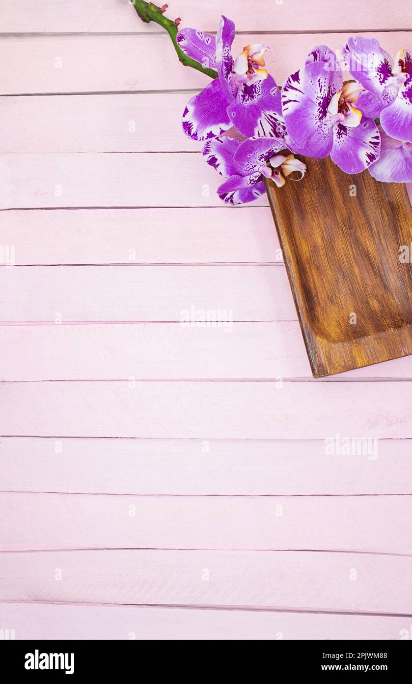 Purple orchid and wooden bowl on pink boards background. Zen, beauty ...