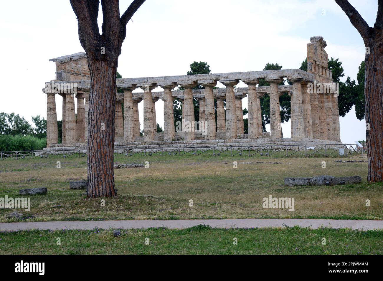 Athena temple. The archaeological Site of Paestum is home to three of the world's best-preserved ...