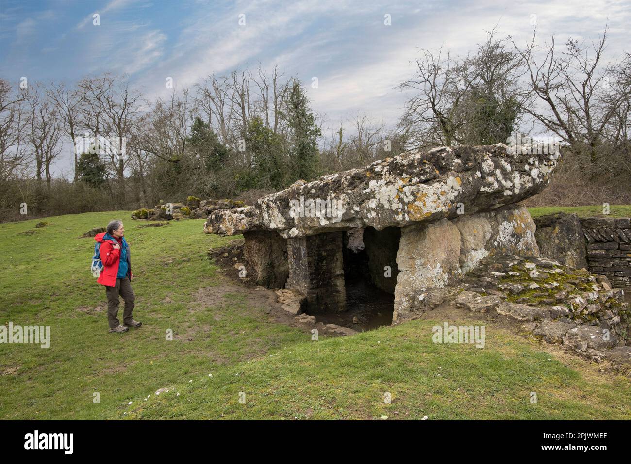 Tinkinswood burial chamber, Neolithic, 6000 year old dolmen Wales, UK ...