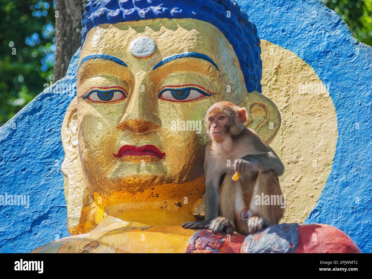 Buddha statue with monkey in Nepal. Kathmandu Stock Photo - Alamy