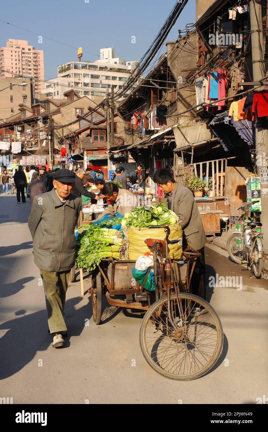 The north-eastern districts of the city of Shanghai: the traditional ...