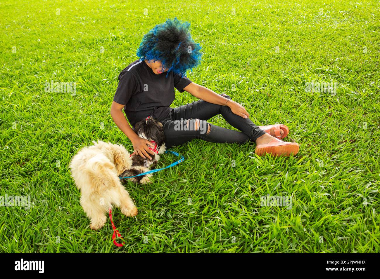 Goiania, Goias, Brazil – March 20, 2023: A young black woman, with afro ...