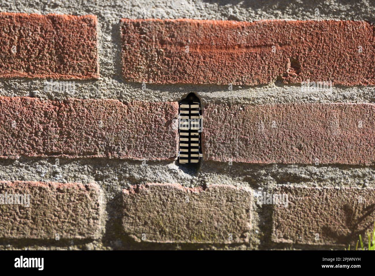 Butt joint grille in brick wall to avoid that mice and other animals ...