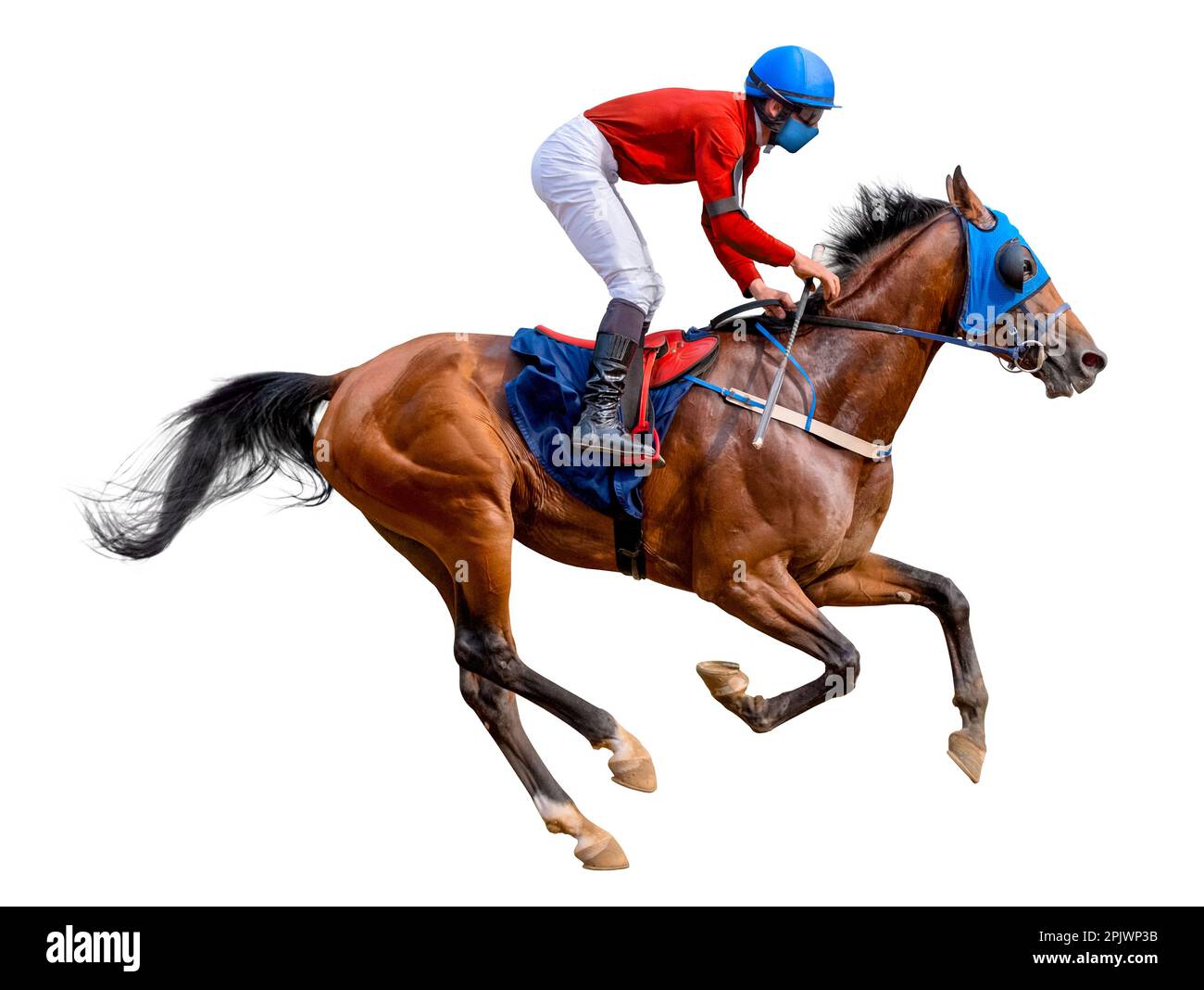 Horseback riding racehorse horse racecourse horse racing competition hi ...