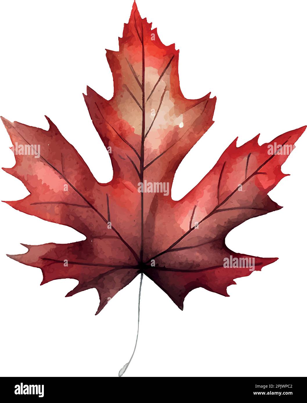 Watercolor Canada Stylized Red Maple Leaf - vector art Stock Vector ...