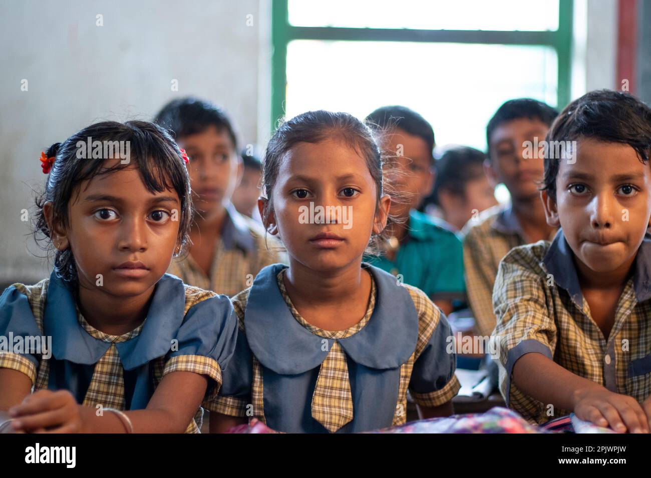 school Students studying in classroom Stock Photo - Alamy
