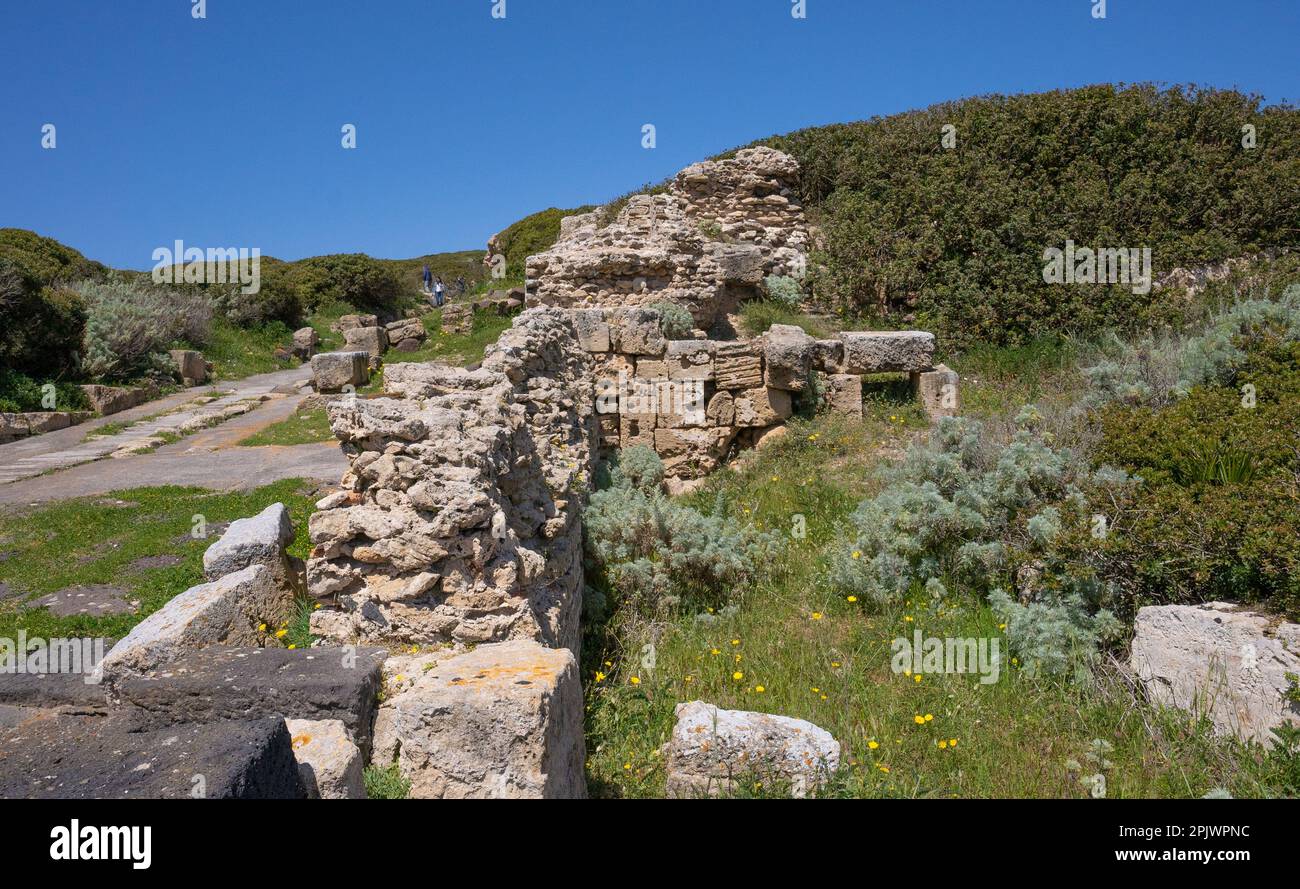 ruins of Tharros, an ancient Phoenician city in the Sinis peninsula in ...