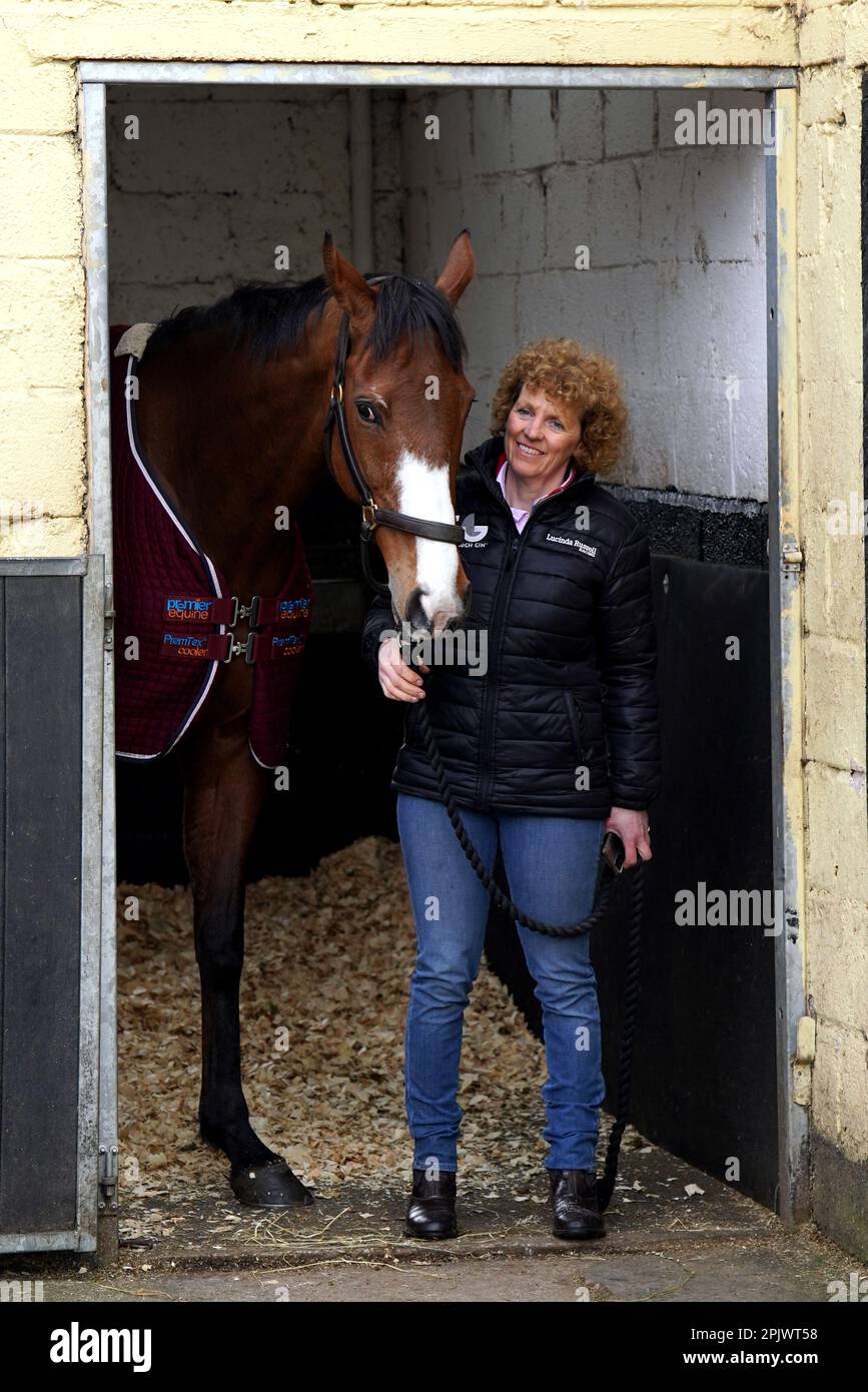 Corach rambler horse hi-res stock photography and images - Alamy