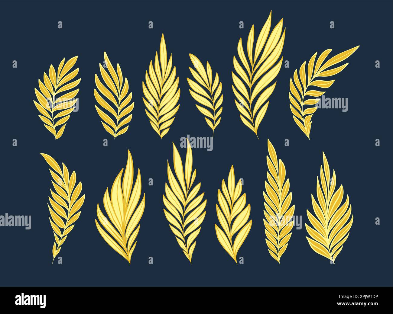 Gold contour hi-res stock photography and images - Alamy